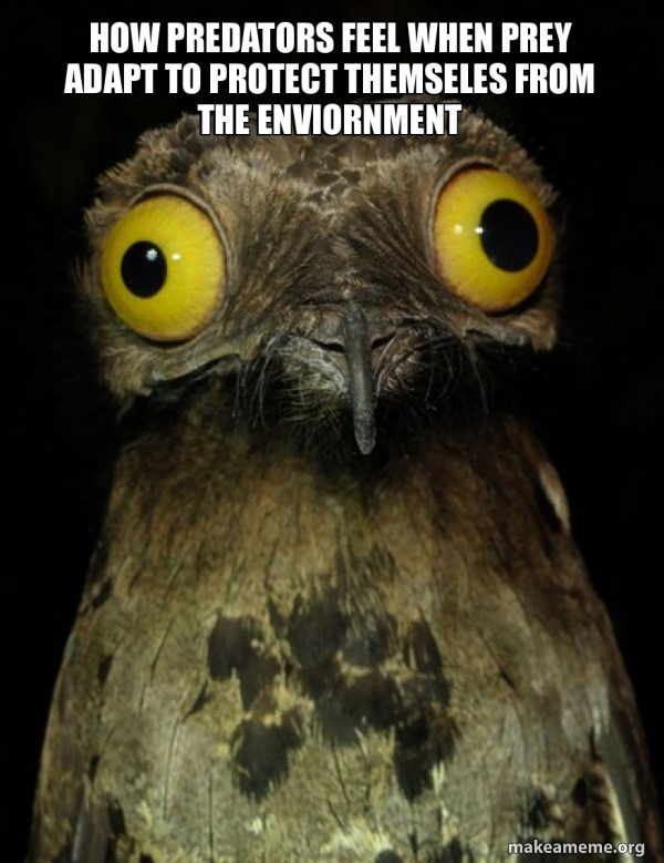 how predators feel when prey adapt to protect themseles from the ...