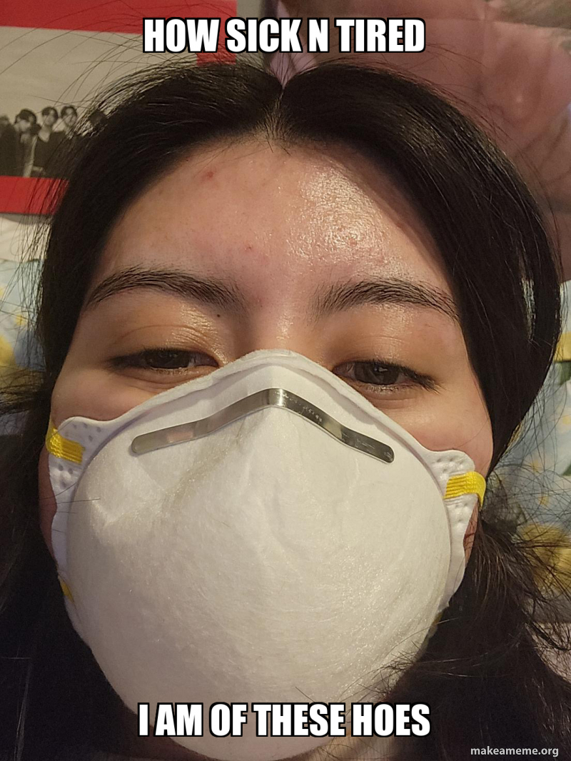 how sick n tired I am of these hoes Meme Generator