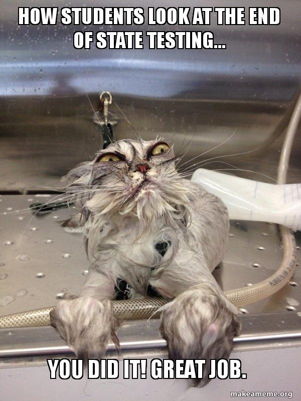 How students look at the end of State Testing... You did it! Great job ...