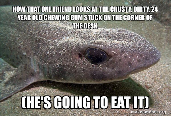 How that one friend looks at the crusty, dirty, 24 year old chewing gum ...