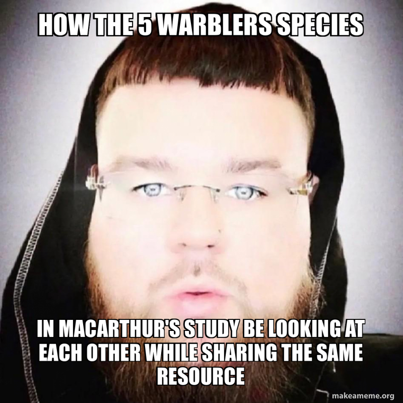 How the 5 Warblers species in macarthur's study be looking at each ...