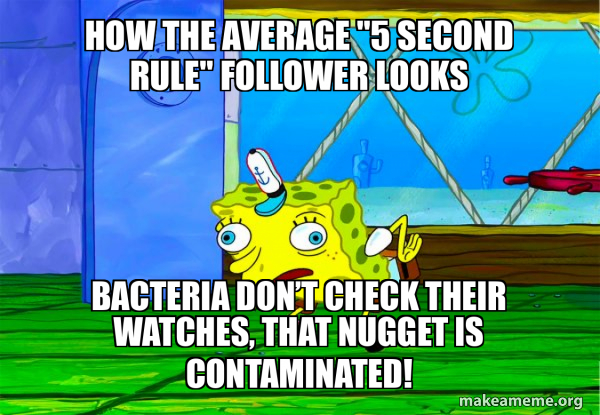 How the average "5 second rule" follower looks Bacteria don’t check ...