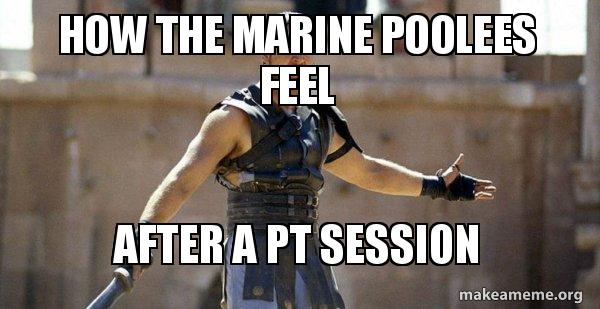 Marine Pt Memes