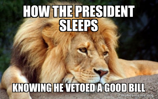 How the president sleeps Knowing he vetoed a good bill - Confession ...