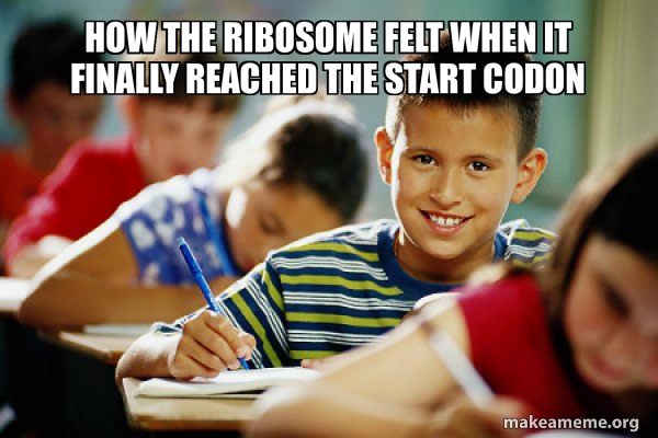 how the ribosome felt when it finally reached the start codon - Scumbag ...