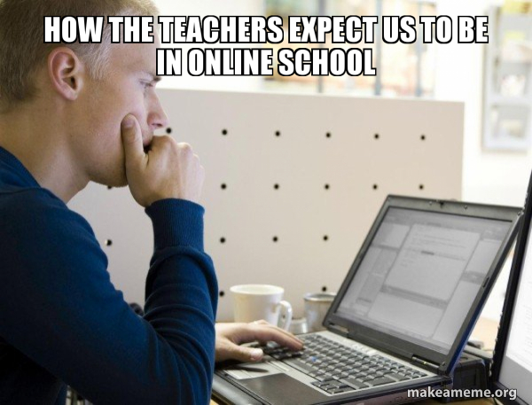 How the teachers expect us to be in online school - Programmer Meme ...
