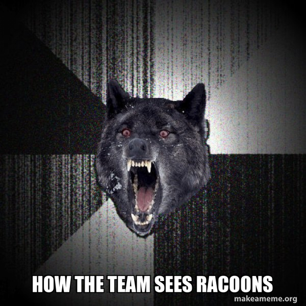 How the team sees racoons - Insanity Wolf Meme Generator