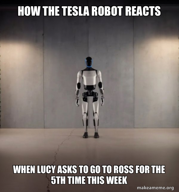 how the tesla robot reacts when lucy asks to go to ross for the 5th ...