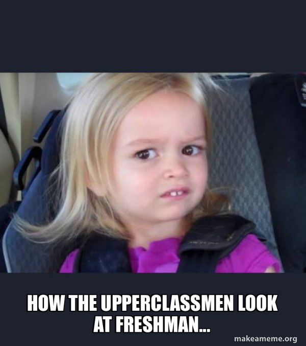 How the upperclassmen look at freshman... - Side-Eyes Chloe Meme Generator