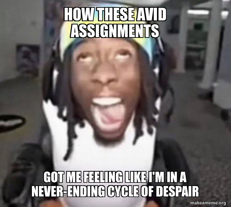 How these avid assignments Got me feeling like I'm in a never-ending ...