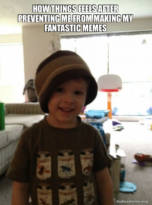 How things feels after preventing me from making my FANTASTIC memes ...