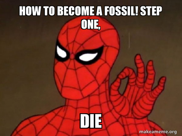 How to become a Fossil! Step One, Die - Spiderman - Care factor Zero ...