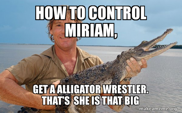Alligator Wrestling Memes A Day In The Life Of A Croc Keeper At San