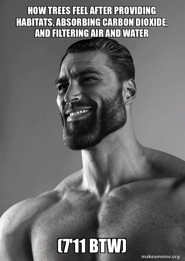 how trees feel after providing habitats, absorbing carbon dioxide, and ...