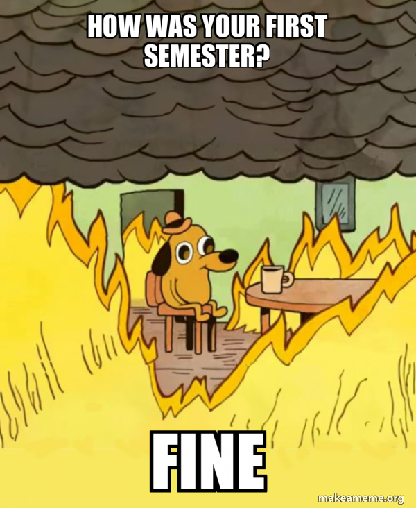 How was your first semester? Fine - This Is Fine Meme Generator