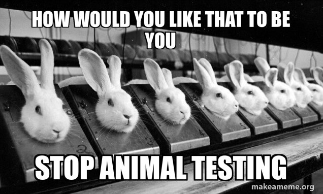 how would you like that to be you stop animal testing Meme Generator