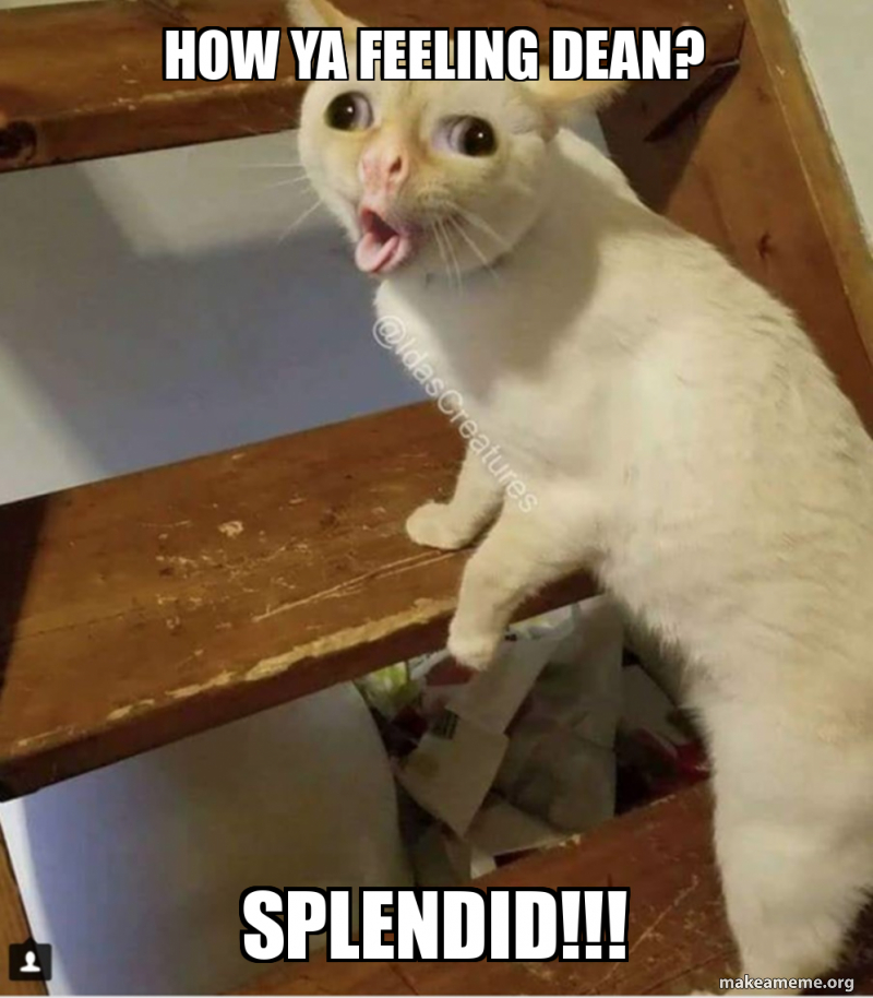 How ya feeling Dean? Splendid!!! Meme Generator
