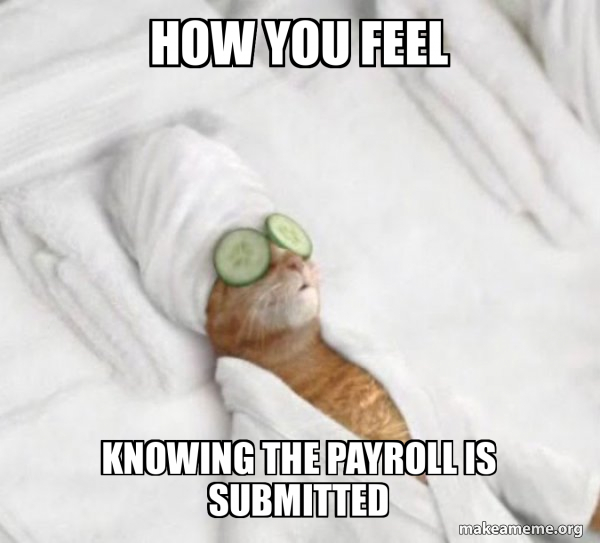 HOW YOU FEEL KNOWING THE PAYROLL IS SUBMITTED - Pampered Cat Meme Meme ...