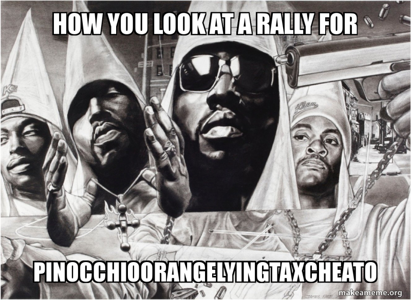 how you look at a rally for Pinocchioorangelyingtaxcheato Meme Generator