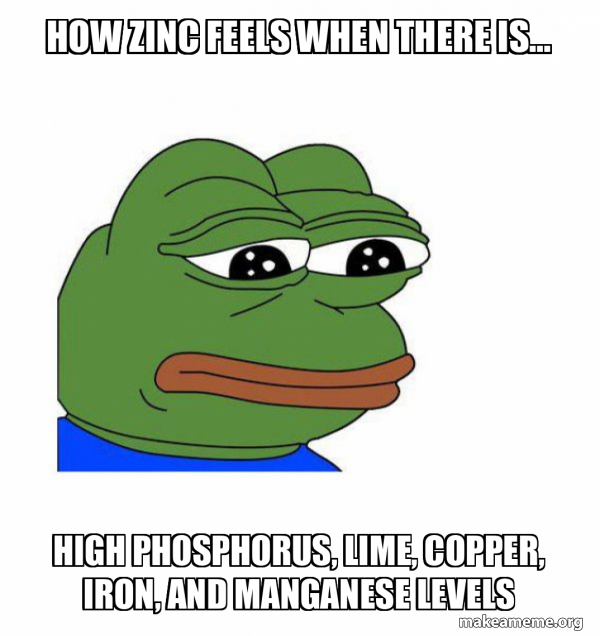 How Zinc Feels When There is... High phosphorus, lime, copper, iron ...