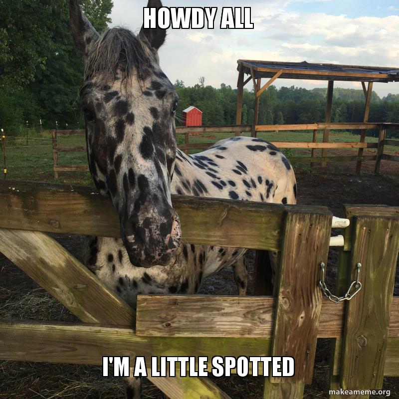 HOWDY ALL I'M A LITTLE SPOTTED Meme Generator