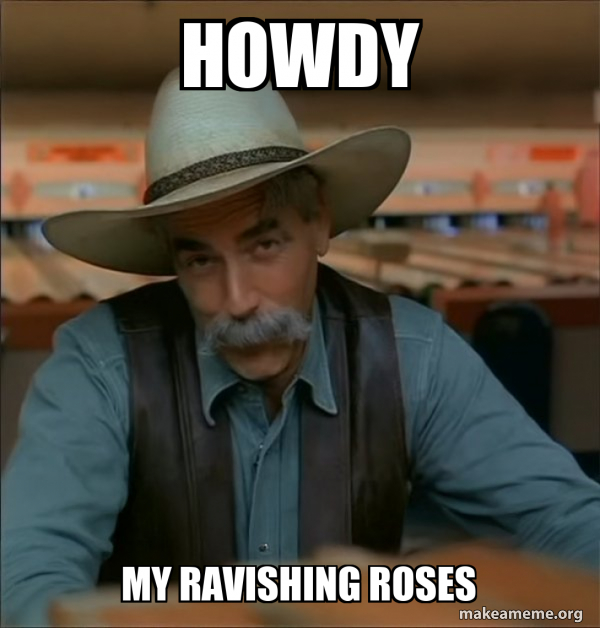 Ravishing Meme