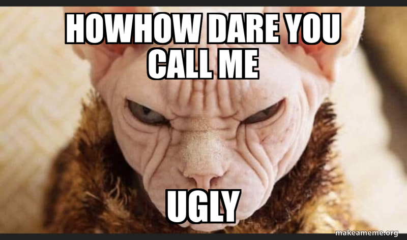 HowHow dare you call me Ugly Meme Generator