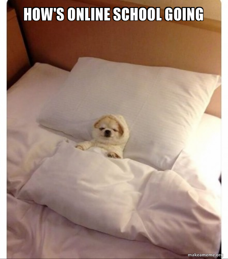how's online school going Meme Generator