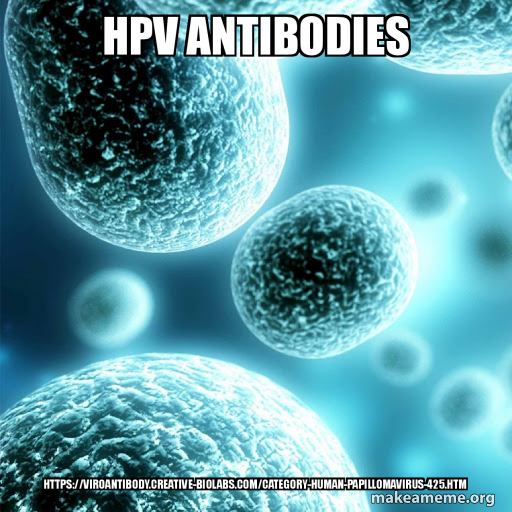 hpv antibodies https://viroantibody.creative-biolabs.com/category-human ...