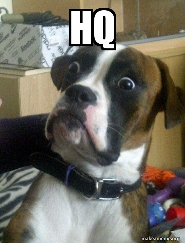 HQ - Skeptical Dog Meme Generator