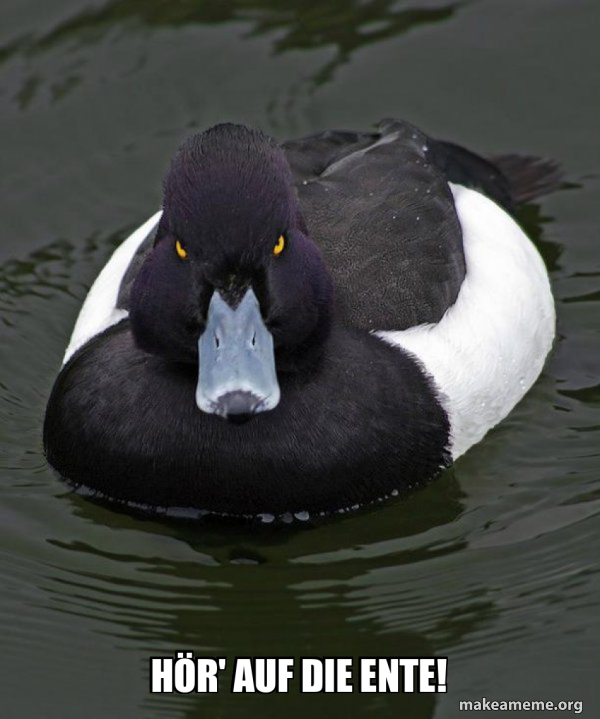 Hör' auf die Ente! - Revenge Duck ( Angry Advice Duck ) Meme Generator