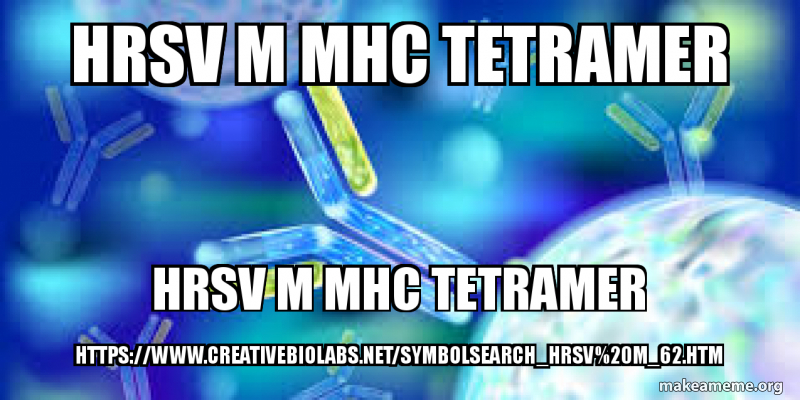 HRSV M MHC tetramer HRSV M MHC tetramer https://www.creativebiolabs.net ...
