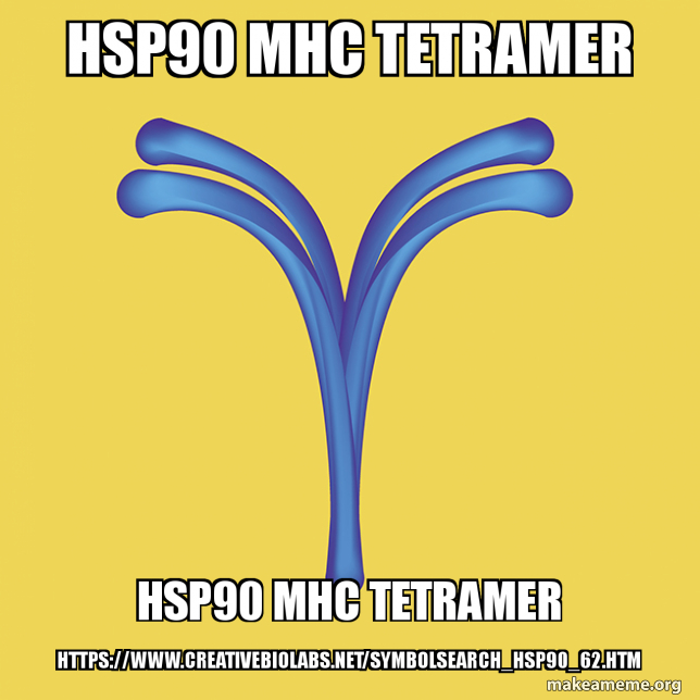 Hsp90 MHC tetramer Hsp90 MHC tetramer https://www.creativebiolabs.net ...