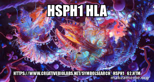 HSPH1 HLA https://www.creativebiolabs.net/symbolsearch_HSPH1_62.htm ...