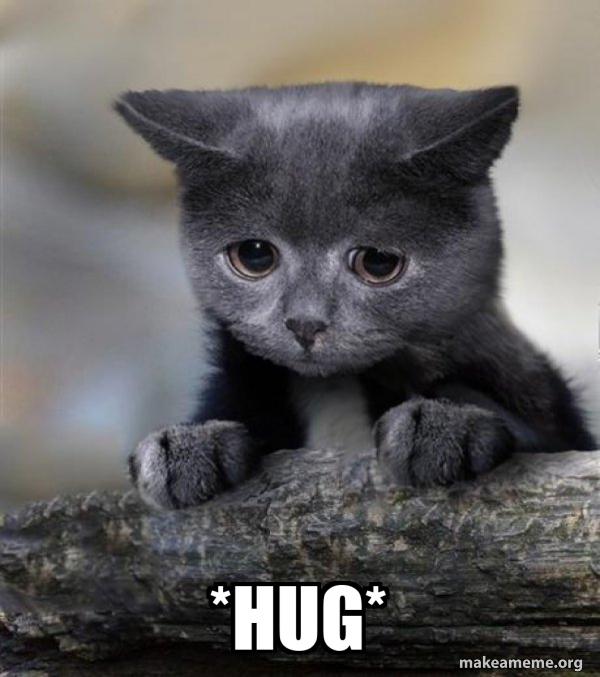 *Hug* - Confession Cat Meme Generator