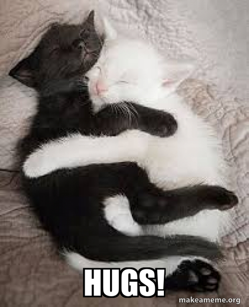 Hugs! Meme Generator