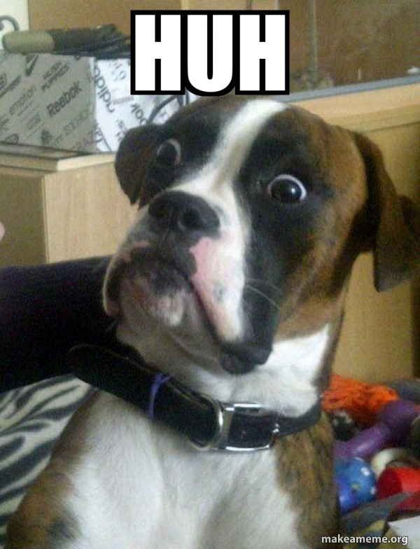 huh - Skeptical Dog Meme Generator