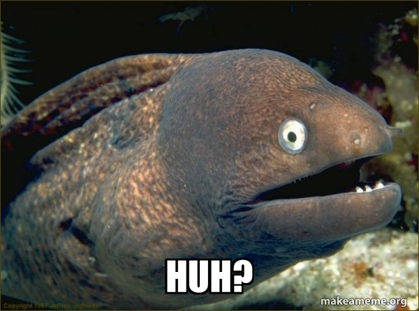 HUH? - Bad Joke Eel Meme Generator