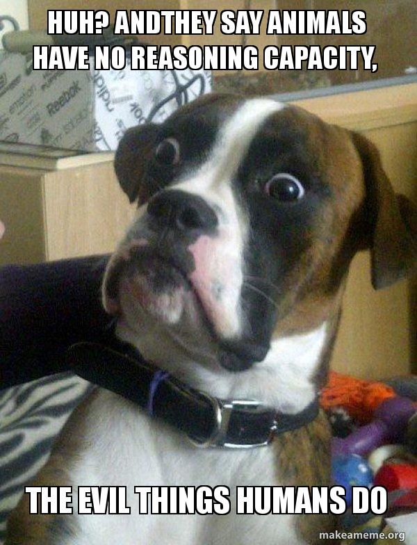 HUH? ANDTHEY SAY ANIMALS HAVE NO REASONING CAPACITY, THE EVIL THINGS ...