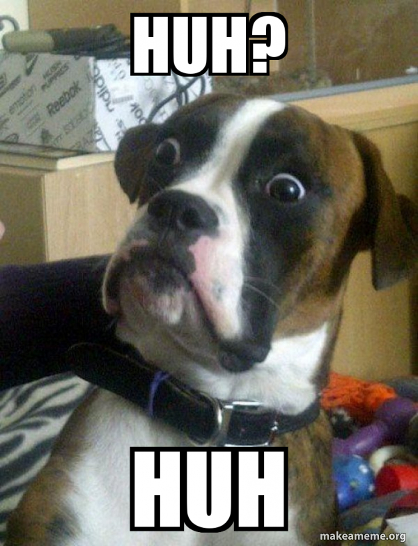 Huh? Huh - Skeptical Dog Meme Generator