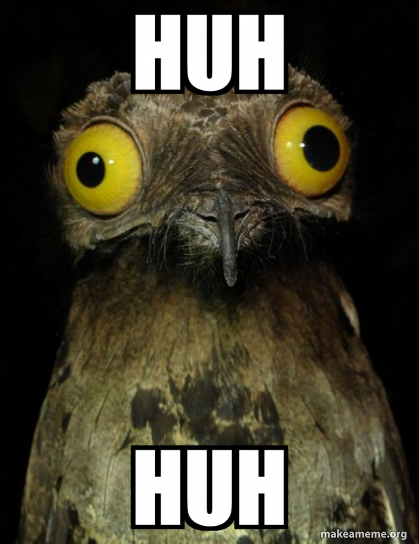 huh huh - Weird Stuff I do Potoo Meme Generator