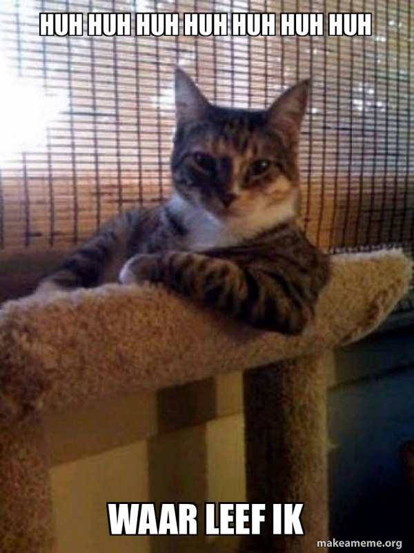 huh huh huh huh huh huh huh Waar leef ik - The Most Interesting Cat in ...