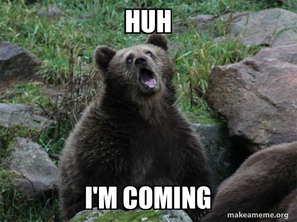 HUH I'M COMING - Sarcastic Bear Meme Generator