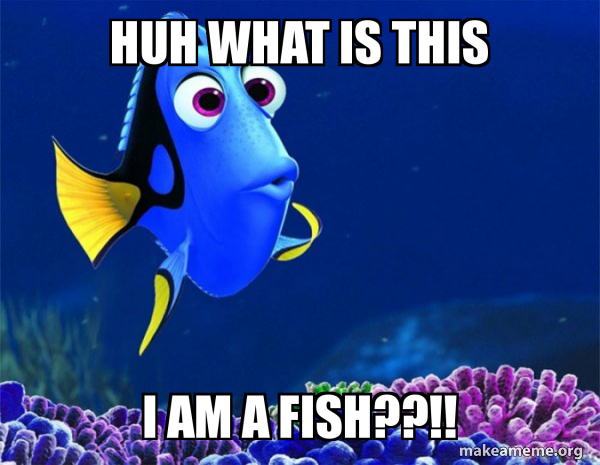 huh what is this I am a fish??!! - Dory from Nemo (5 second memory ...