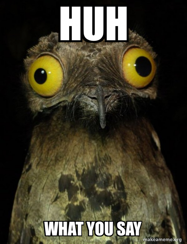 huh what you say - Weird Stuff I do Potoo Meme Generator