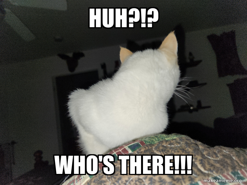 Huh?!? Who's there!!! Meme Generator