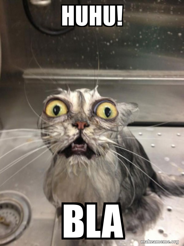 Huhu! Bla - Cat bath Meme Generator