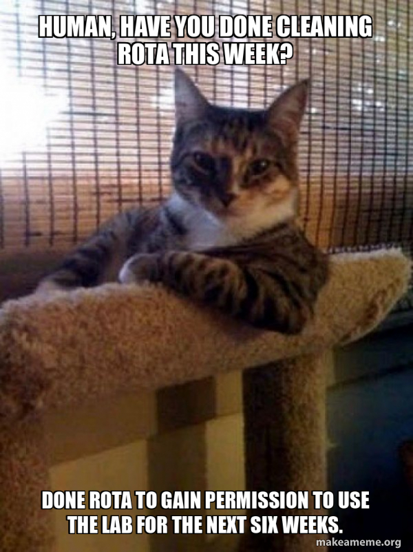 Human, have you done cleaning rota this week? Done rota to gain ...
