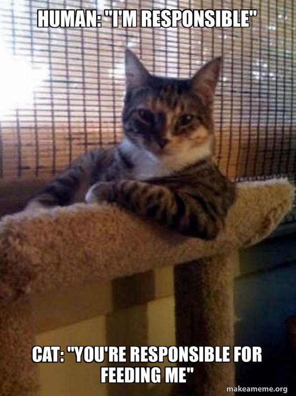 Human: "I'm responsible" Cat: "You're responsible for feeding me" - The ...