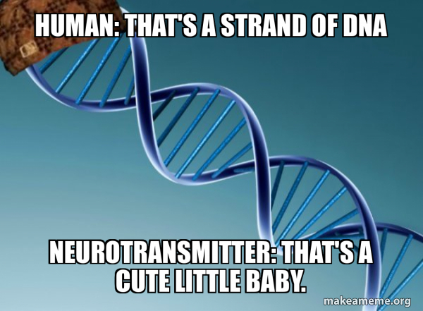 Human: That's a strand of DNA Neurotransmitter: That's a cute little ...